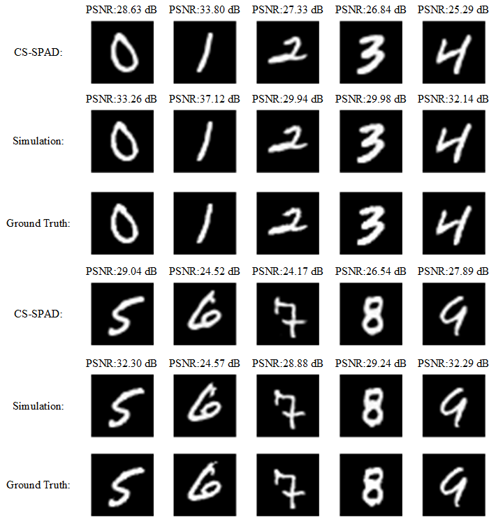 On-chip Compressive Sensing with Single Photon Avalanche Diode Array